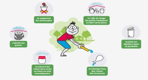 Info Flash - La Dengue - Réunion Air Sûreté